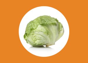 Tipos de alface: Conheça os mais populares e como plantá-los - Pinhos ...
