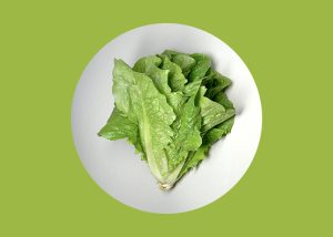 Tipos de alface: Conheça os mais populares e como plantá-los - Pinhos ...